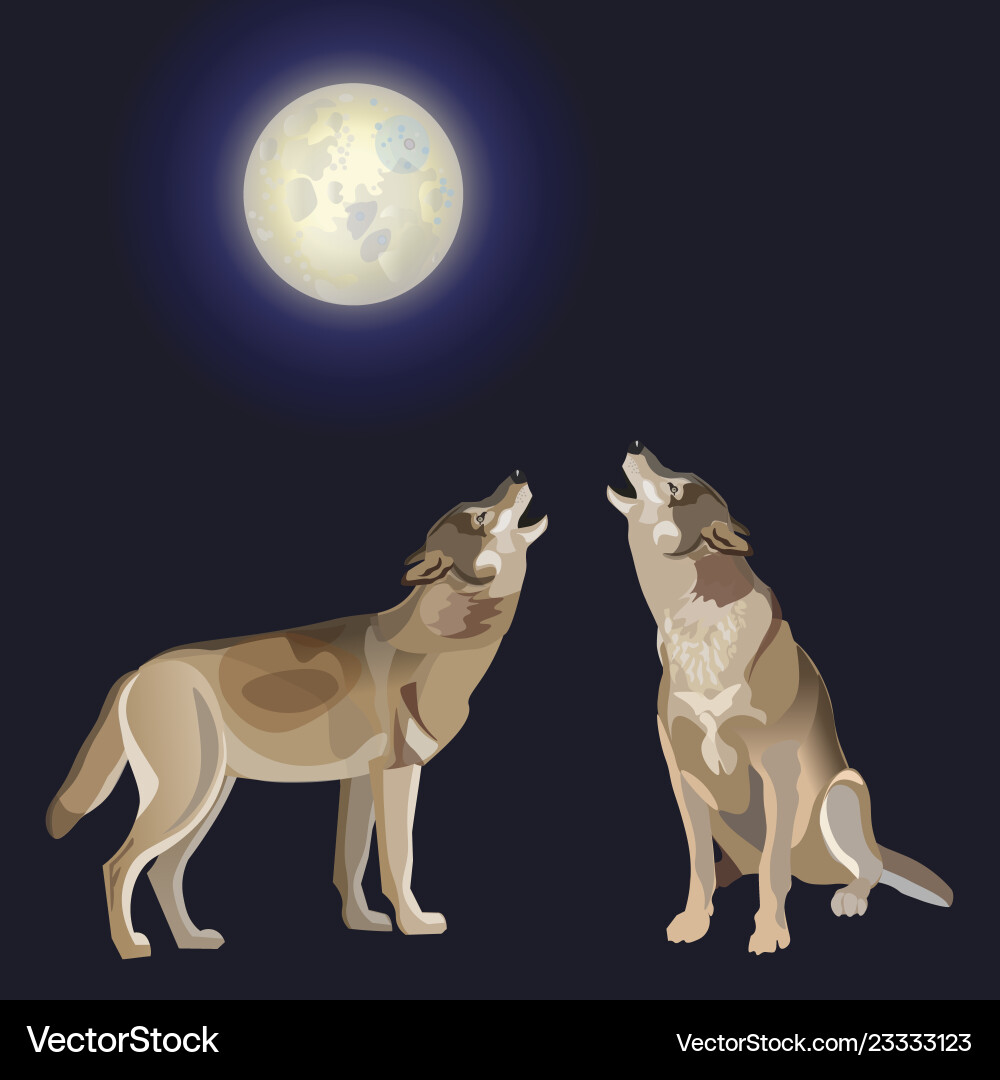 Pictures Of Wolves Howling At The Moon - Infoupdate.org