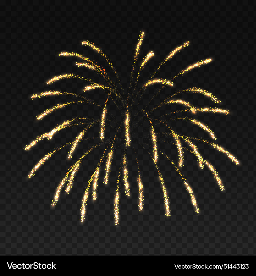 Sparkling firework palm shape realistic Royalty Free Vector
