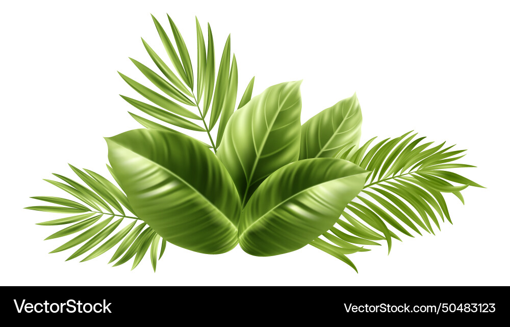 Tropical palm leaves tree plant leaf Royalty Free Vector