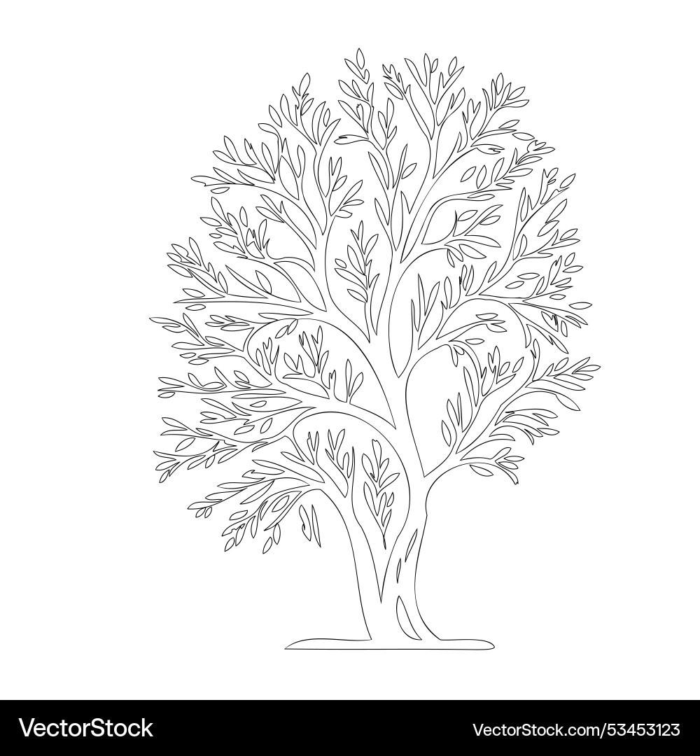 Willow tree nature outline sketch Royalty Free Vector Image
