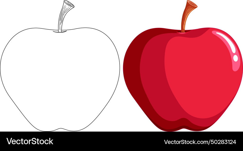 An apple from outline to colored Royalty Free Vector Image