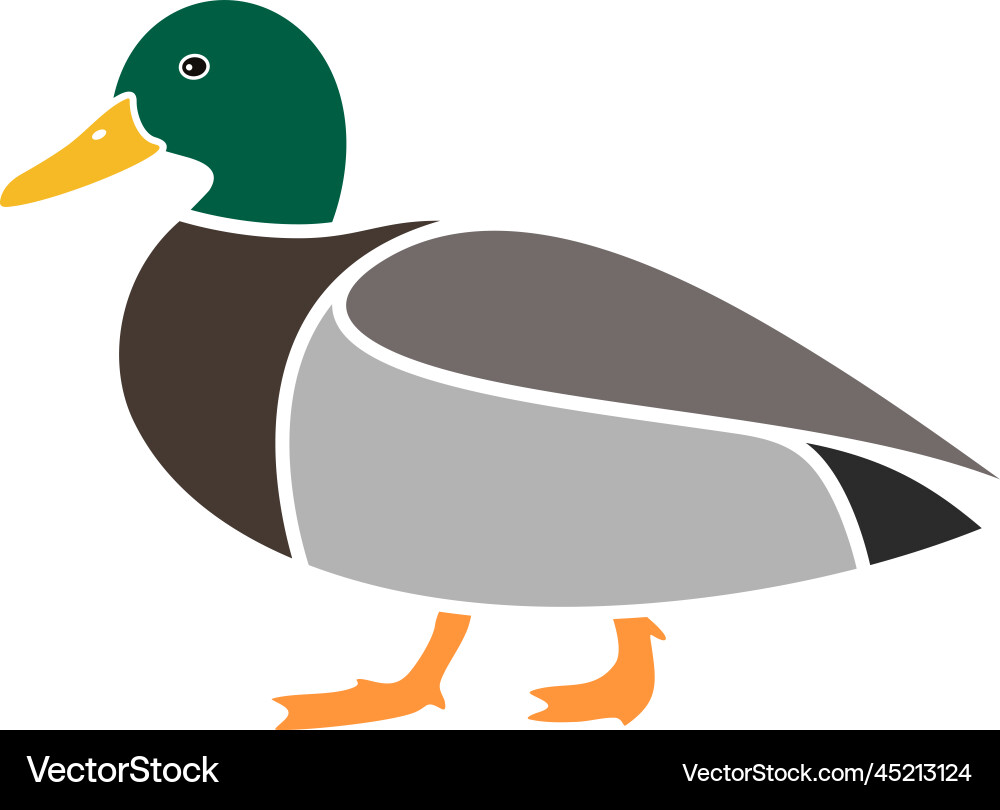 Duck Royalty Free Vector Image - VectorStock