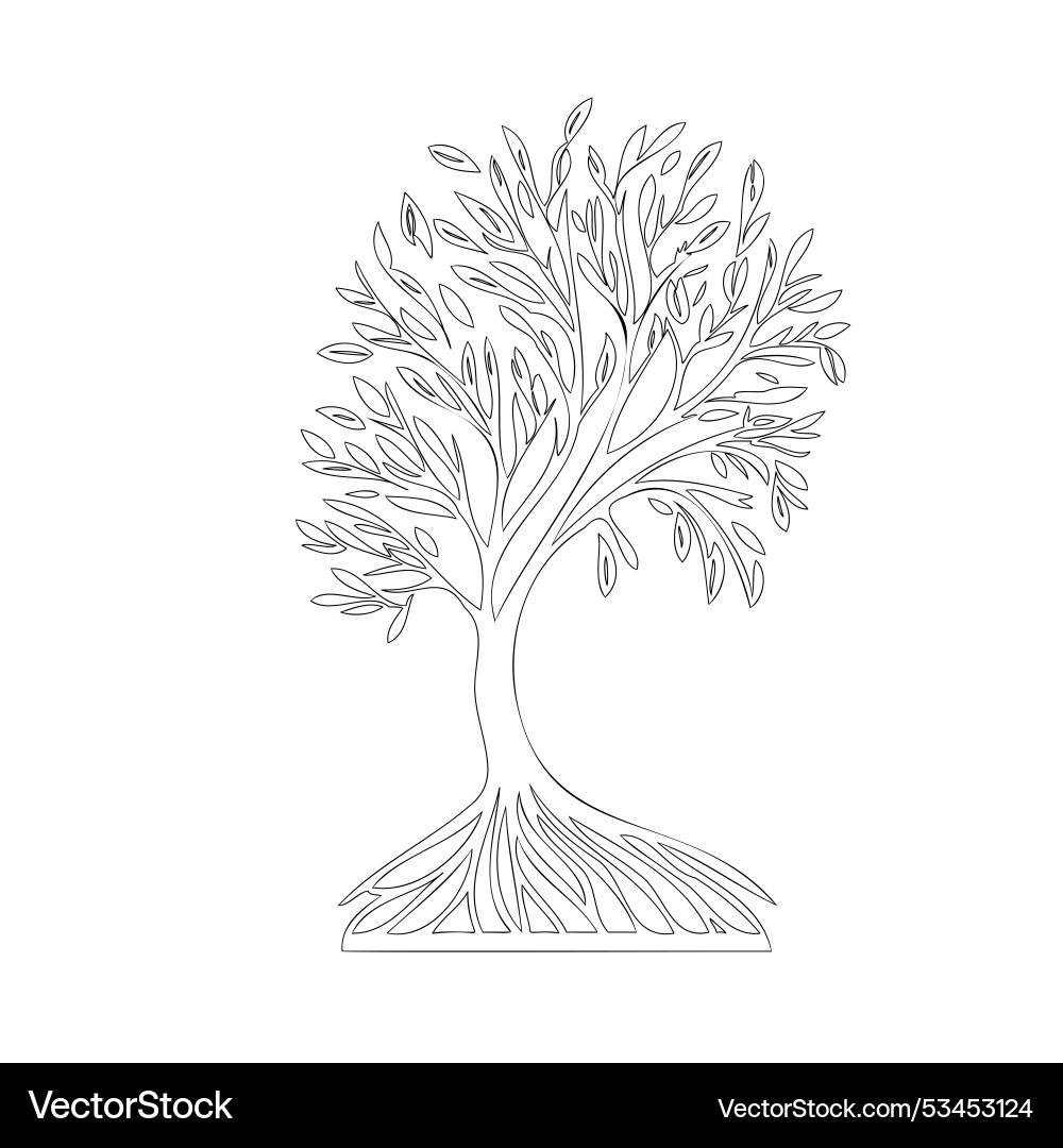 Willow tree nature outline sketch Royalty Free Vector Image