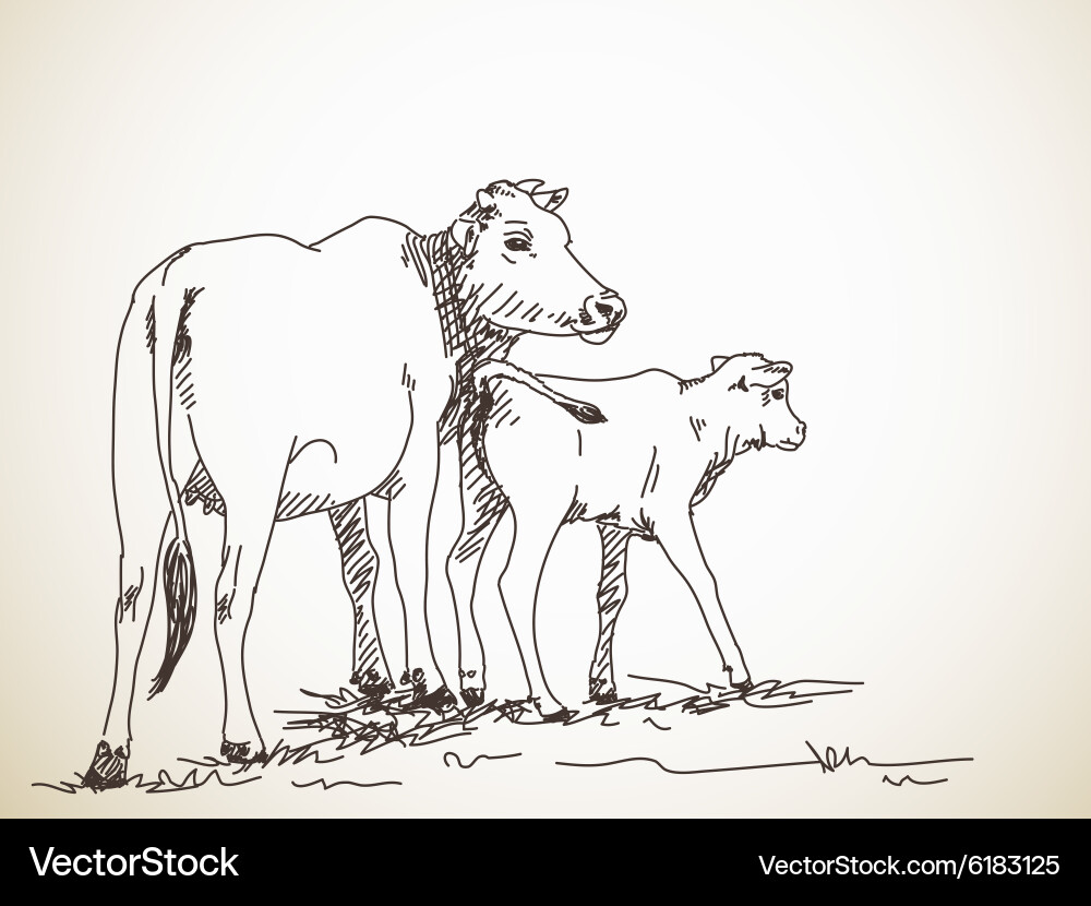Cow and calf Royalty Free Vector Image - VectorStock