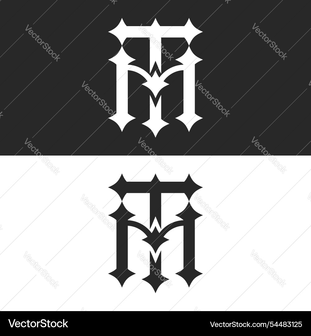 Initials tm or mt letters monogram logo design Vector Image