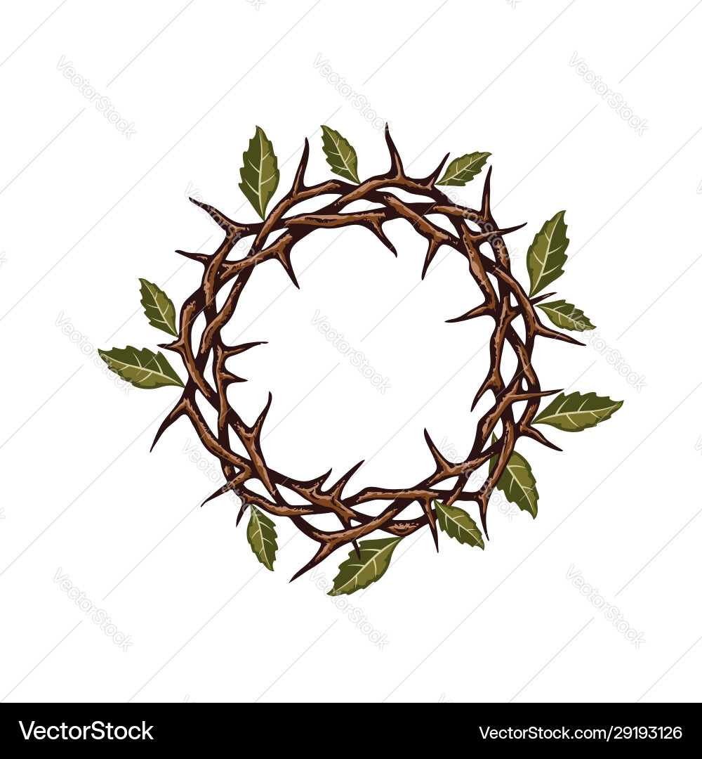 Crown thorns image Royalty Free Vector Image - VectorStock