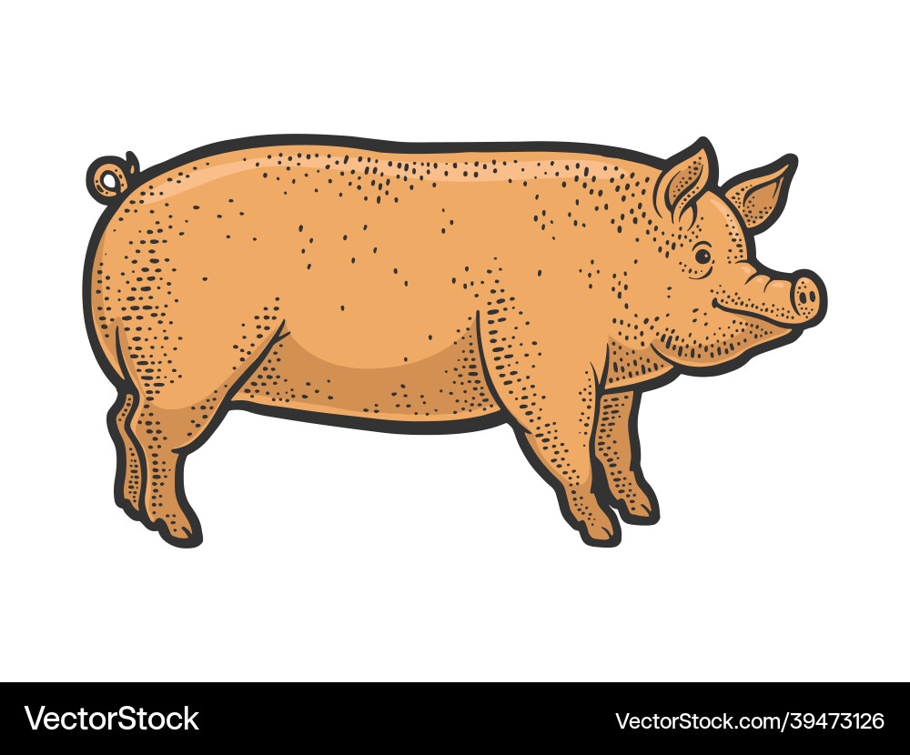 Piglet line art sketch Royalty Free Vector Image