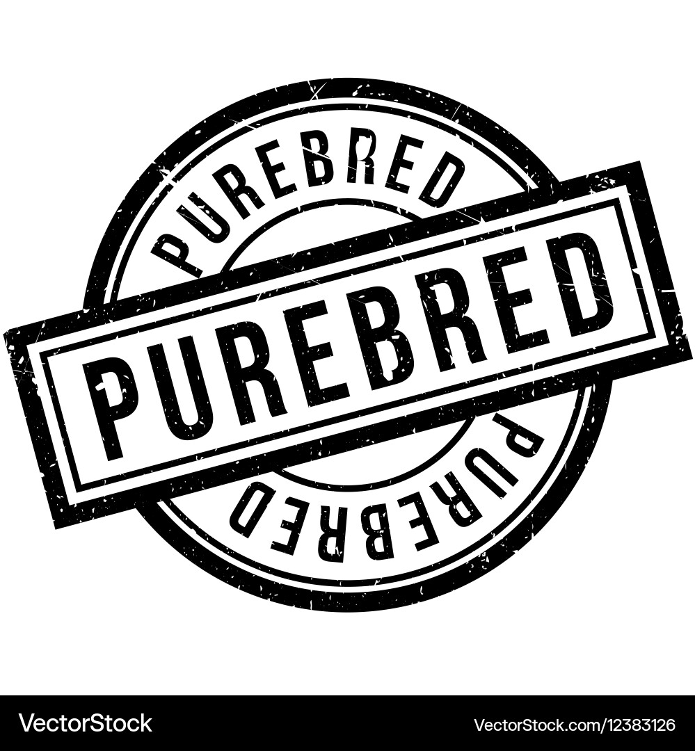 Purebred rubber stamp Royalty Free Vector Image