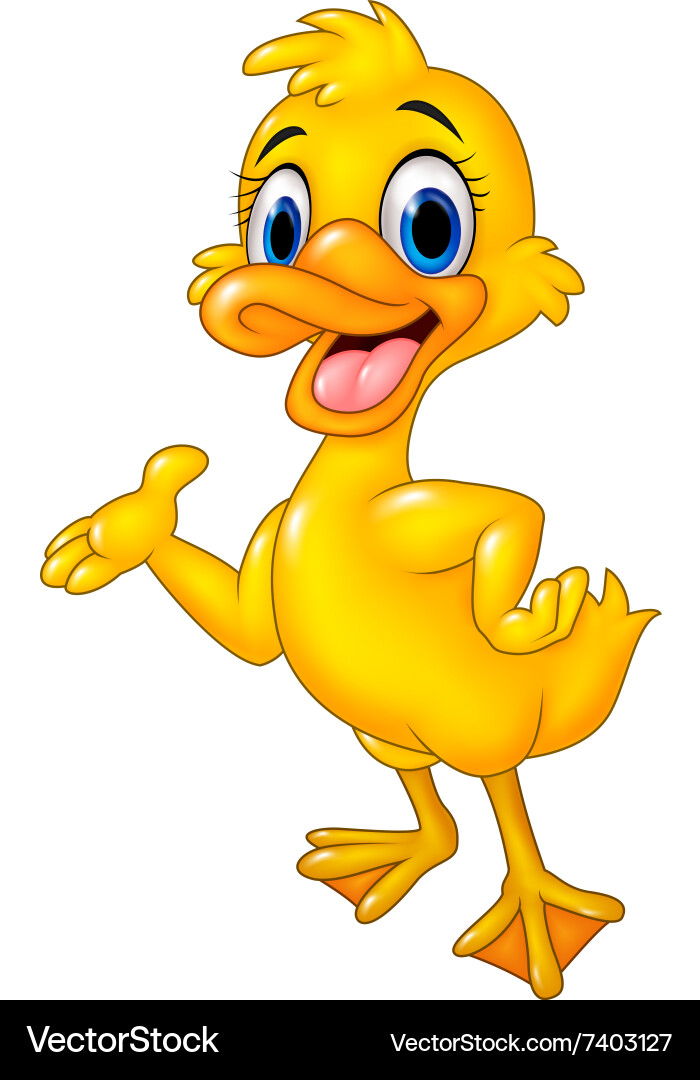 Cartoon happy duck presenting isolated Royalty Free Vector