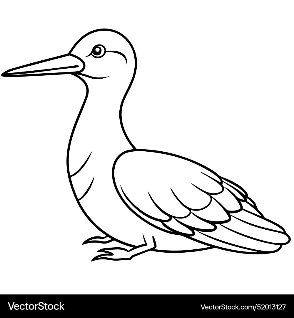 Galapagos storm petrel bird sleeps icon Royalty Free Vector