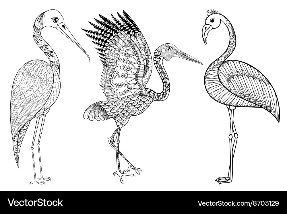 Entangle hand drawn stork flamingo brolga Vector Image