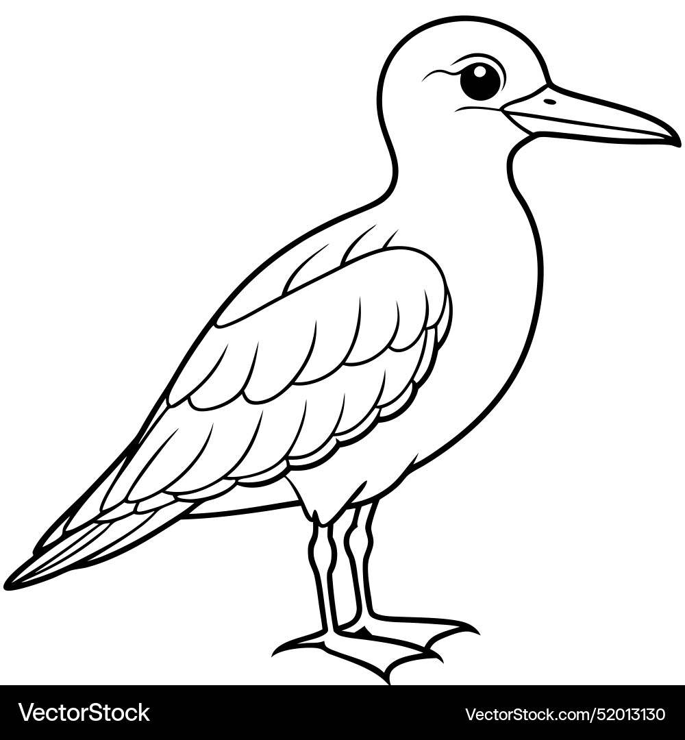 Galapagos storm petrel bird stands icon Royalty Free Vector