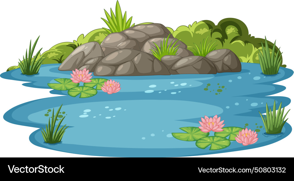 Tranquil water scene with rocks and lilies Vector Image