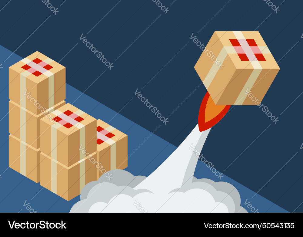 Express delivery - launch of parcel box as rocket Vector Image