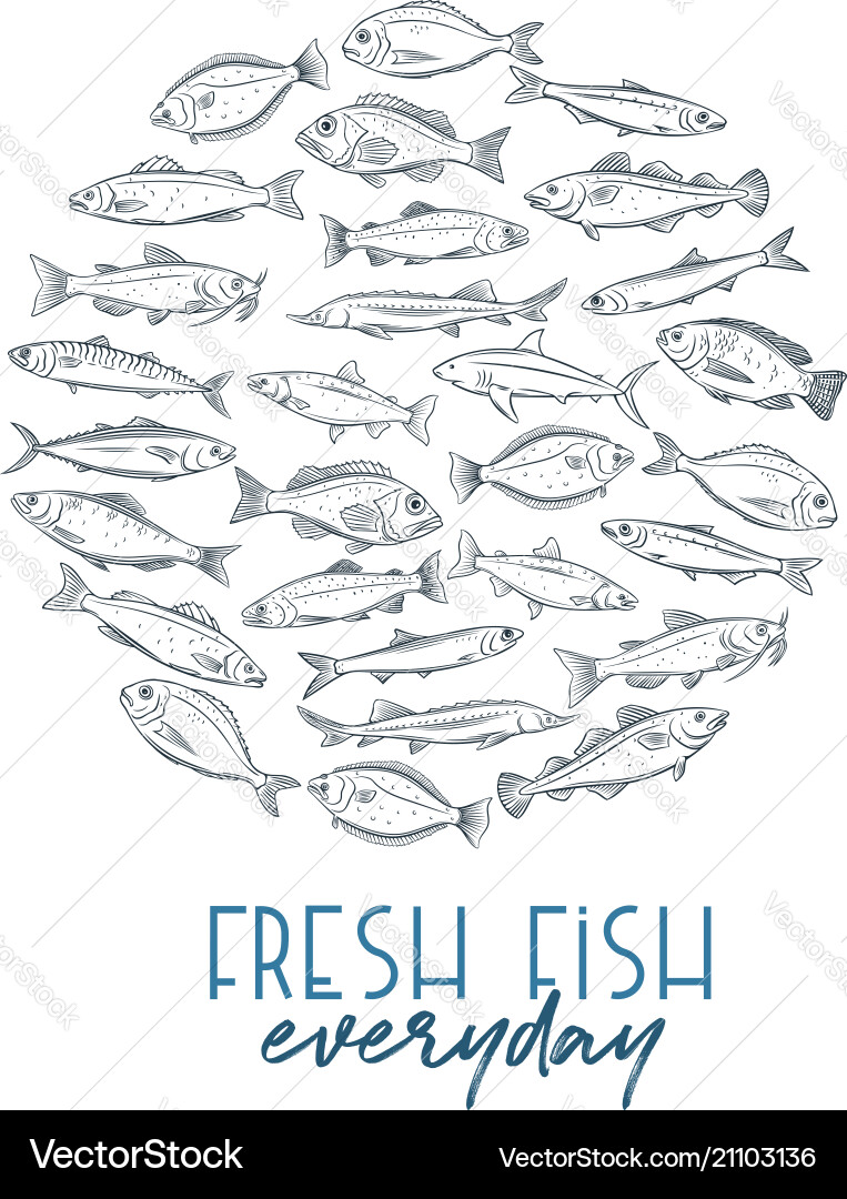 Poster hand drawn fish Royalty Free Vector Image