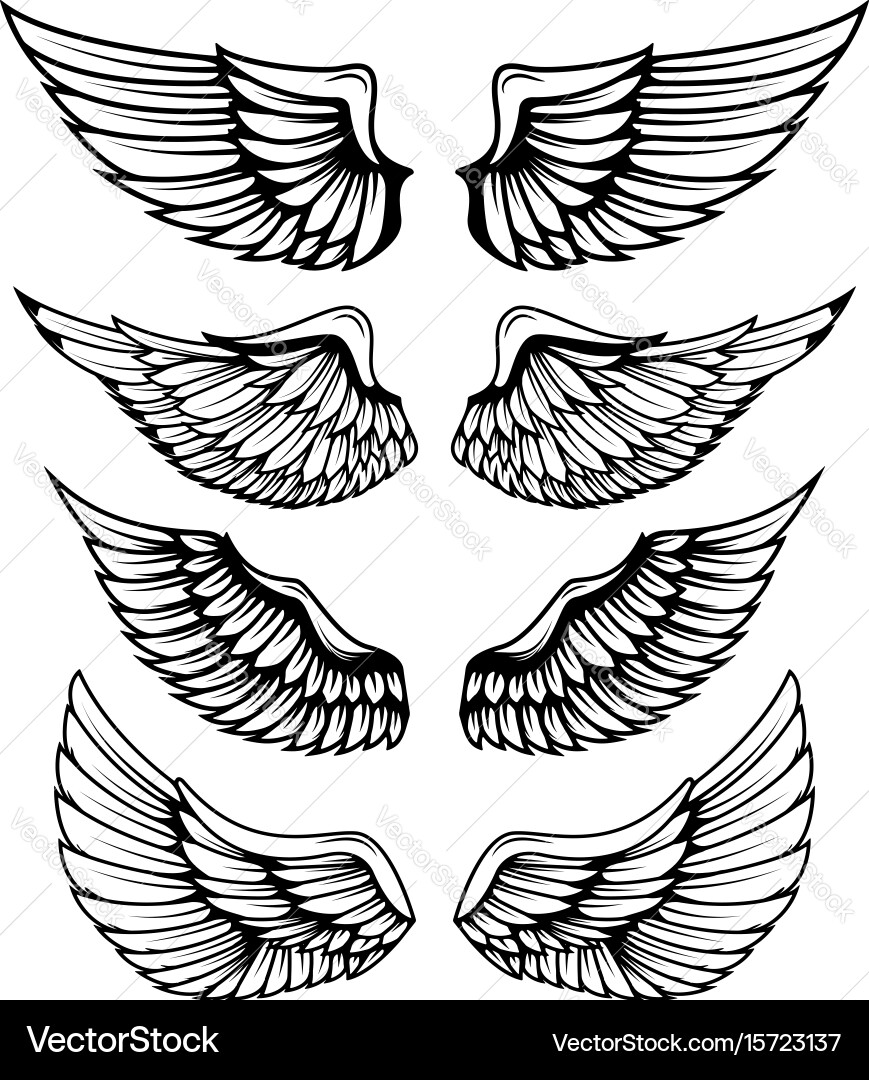 Vintage wings isolated on white background design Vector Image