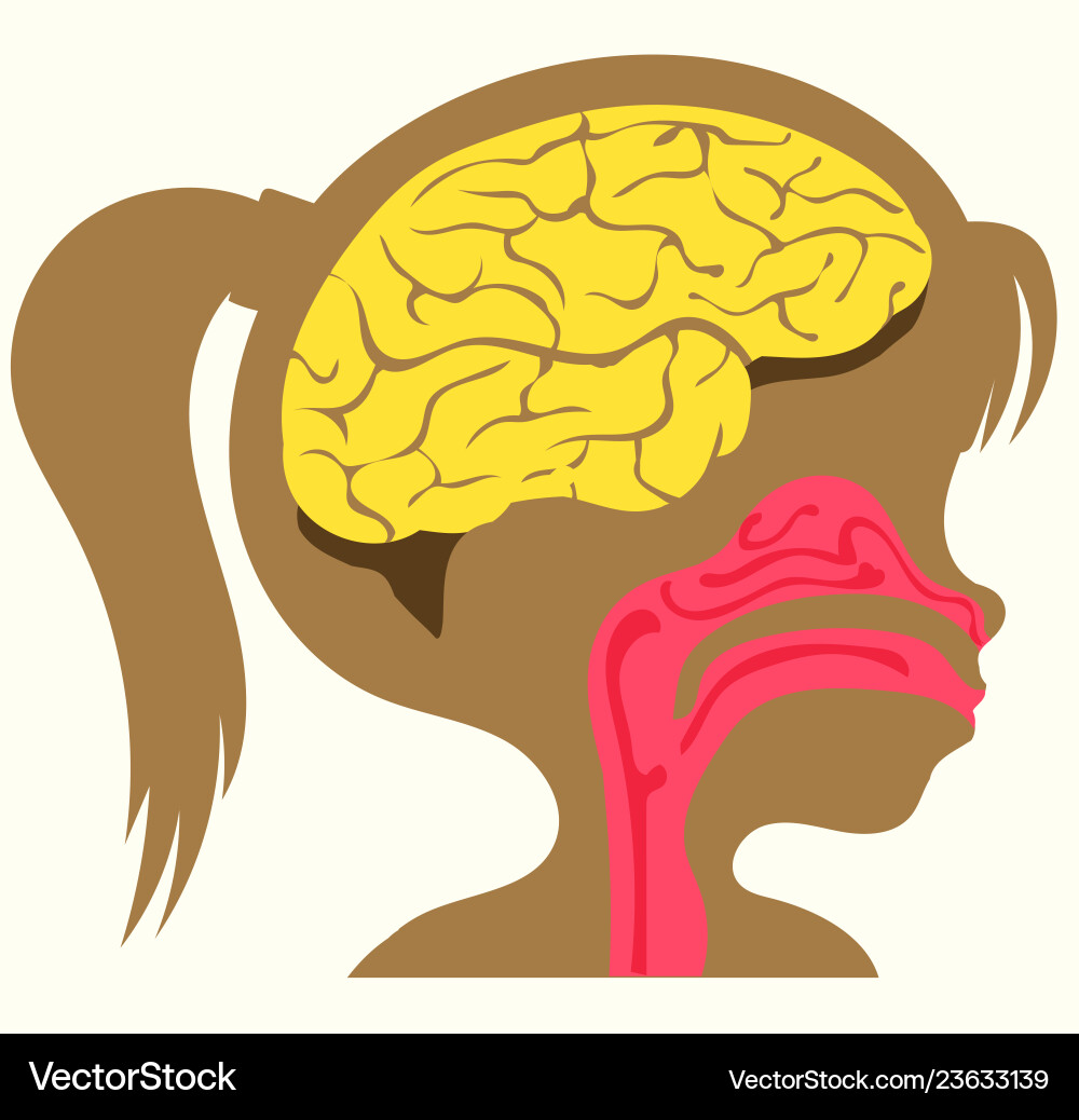 Anatomy Royalty Free Vector Image - VectorStock