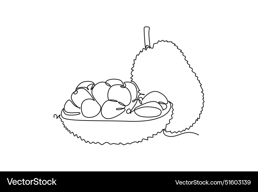 Continuous one line drawing whole and peeled Vector Image