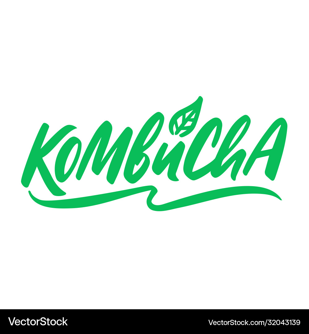 Kombucha hand written logo Royalty Free Vector Image