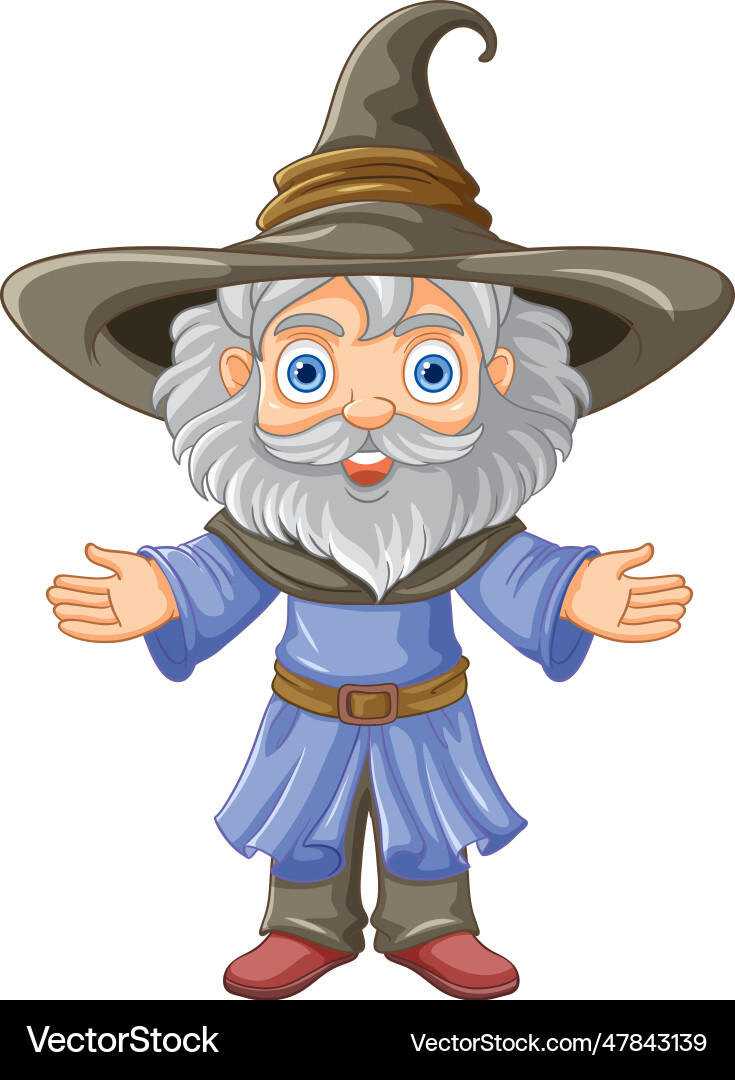 Old wizard wearing a hat with long beard Vector Image