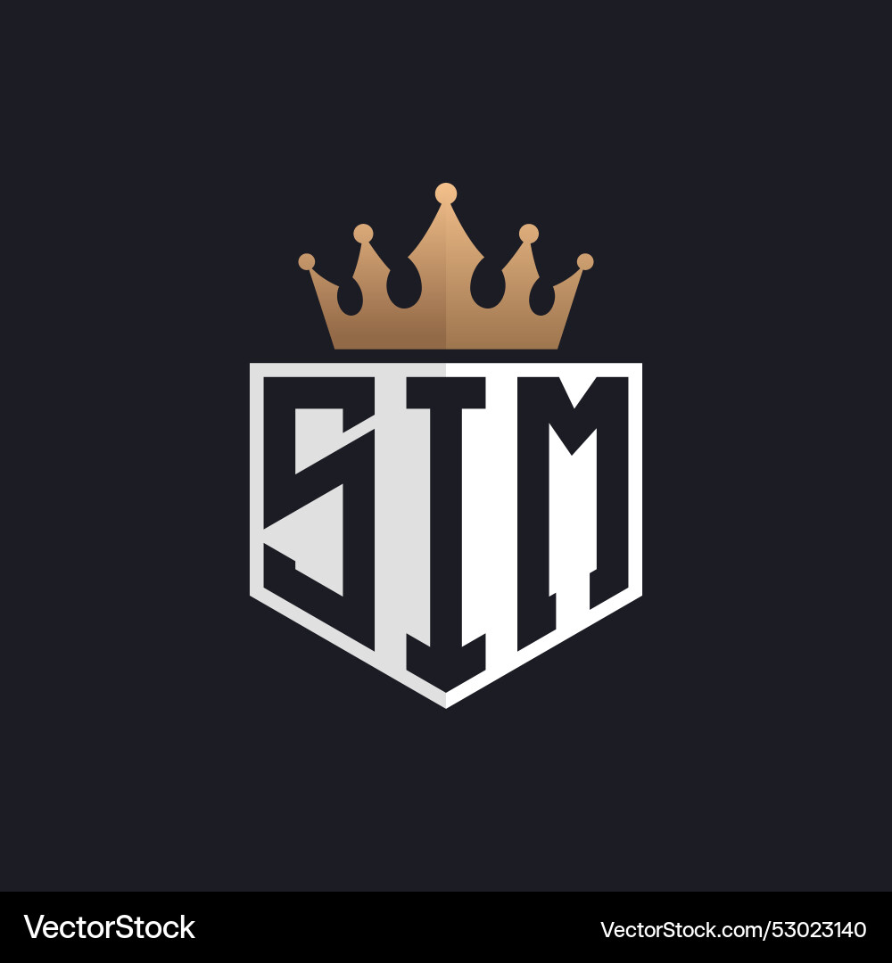Luxury sim logo with crown elegant initials Vector Image