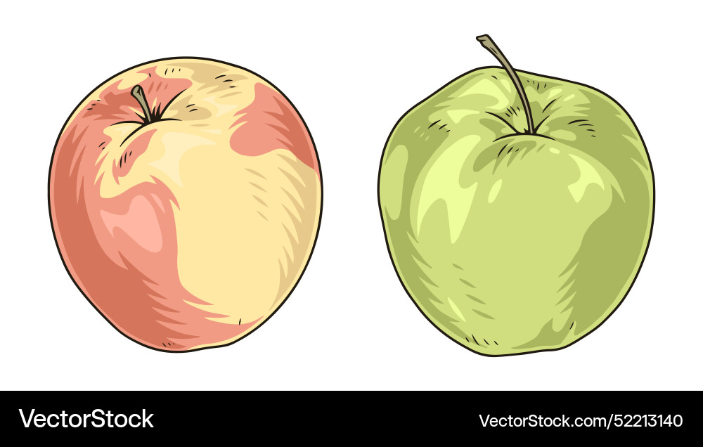 Ripe apples set stickers colorful Royalty Free Vector Image