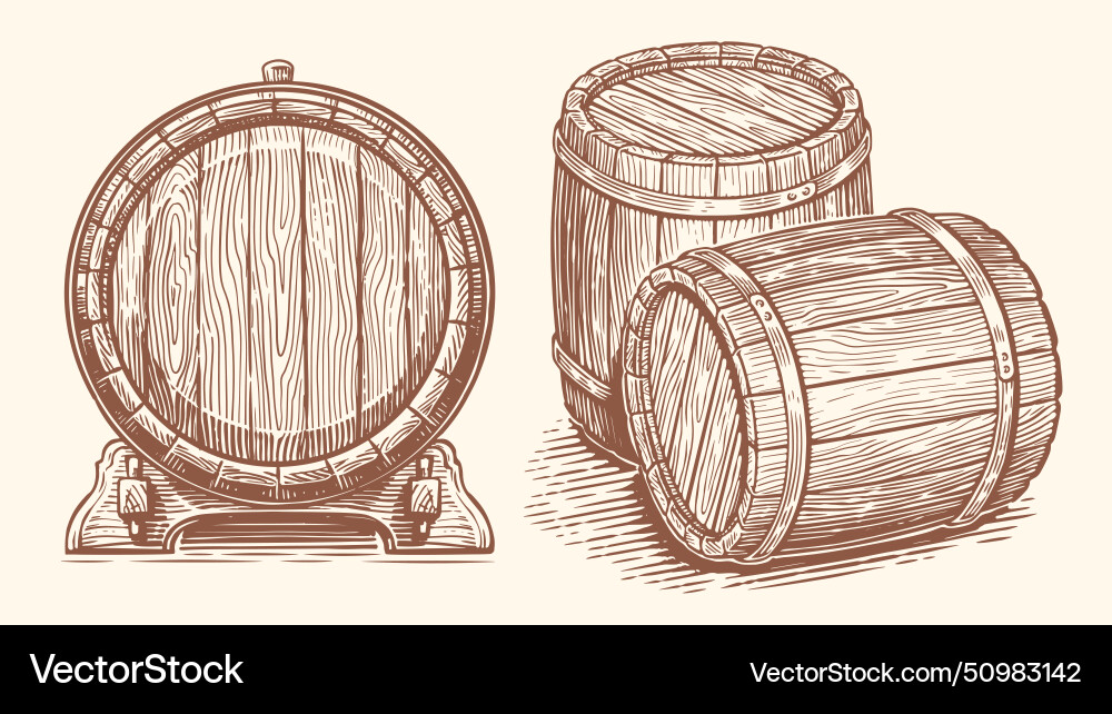 Oak barrel hand drawn wooden cask Royalty Free Vector Image