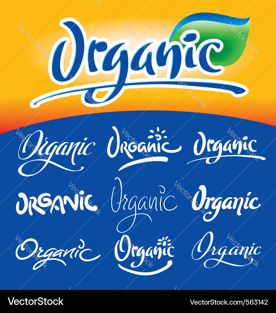 Organic hand lettering Royalty Free Vector Image