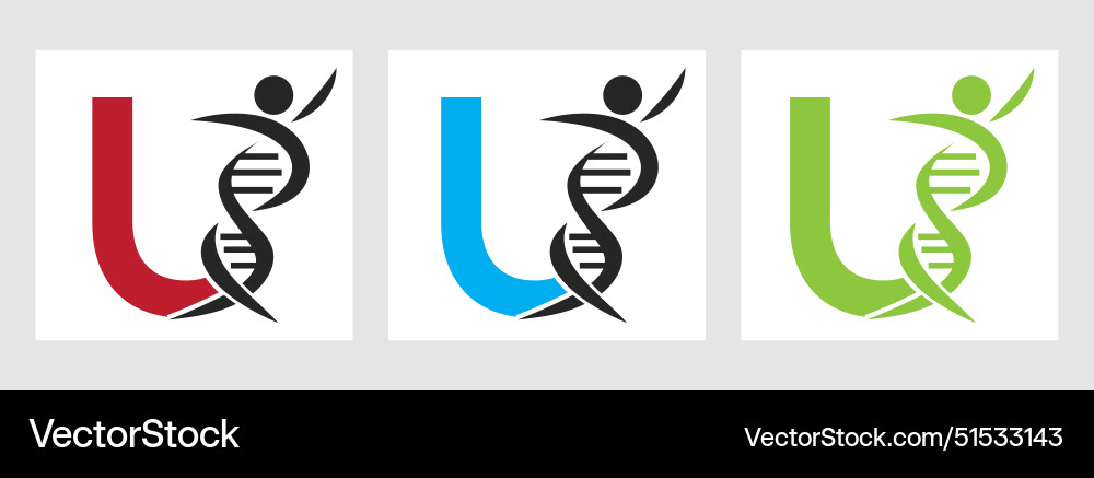 Letter u dna logo with human symbol cell icon Vector Image