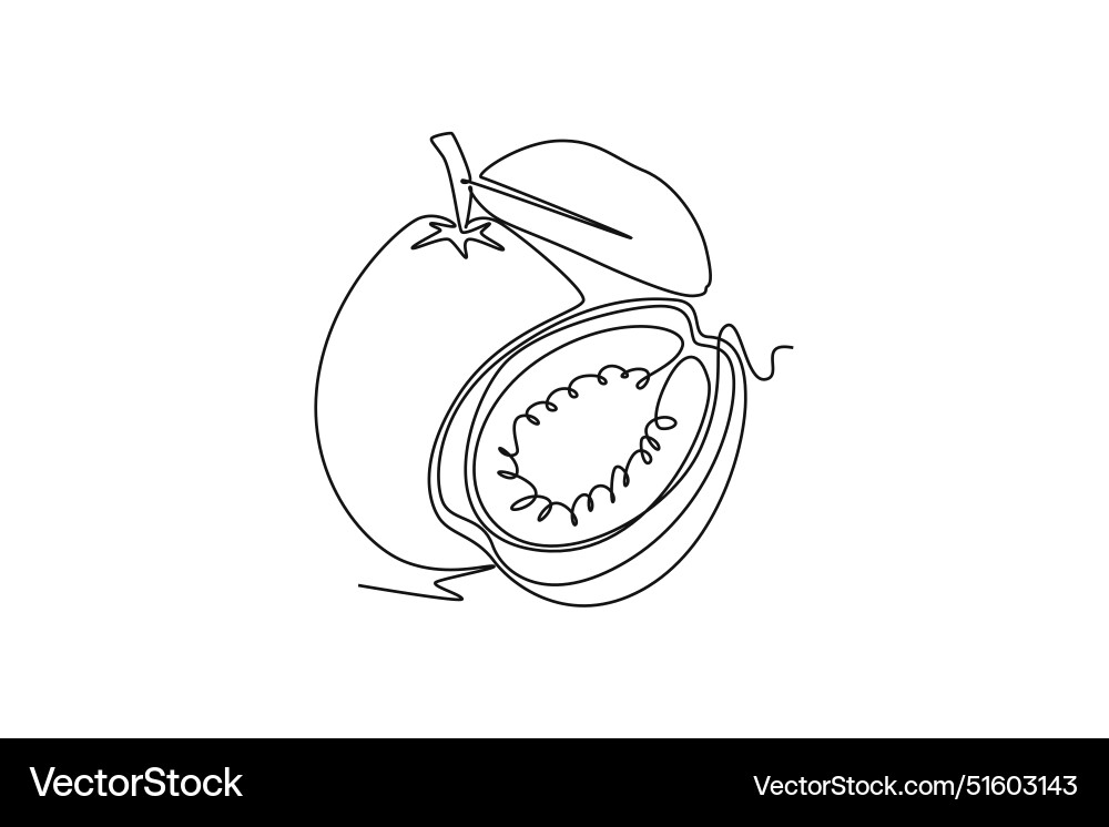 Single continuous line drawing whole and half Vector Image