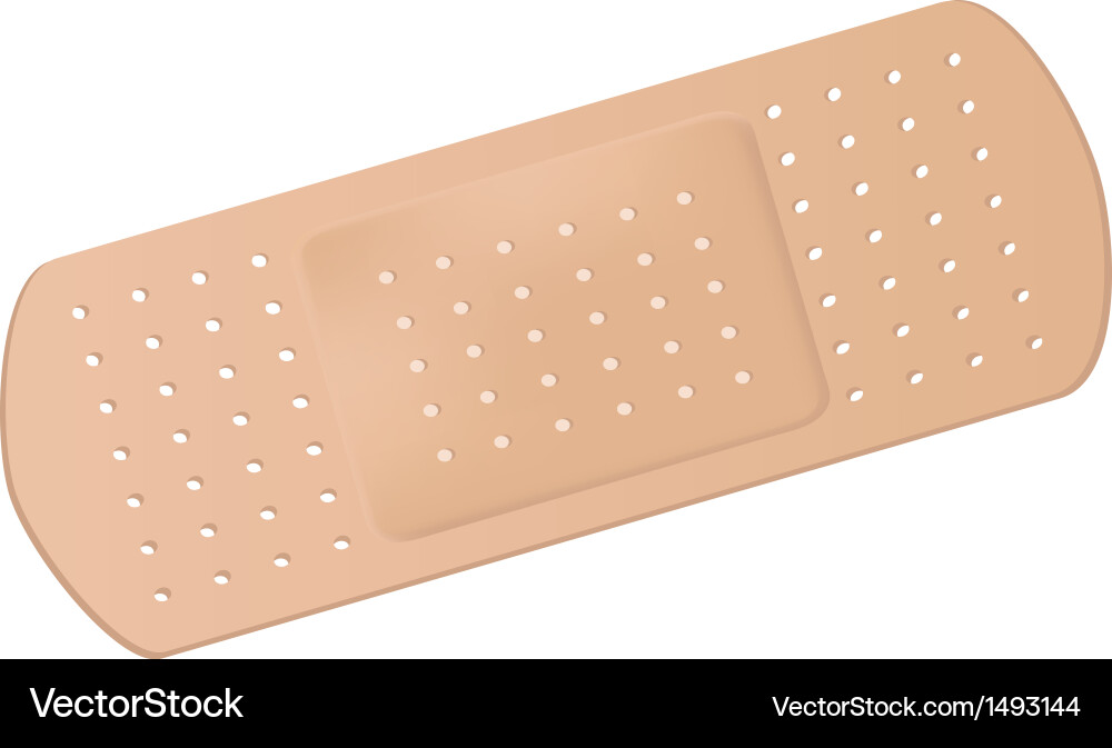 Medical Adhesive Bandage Royalty Free Vector Image
