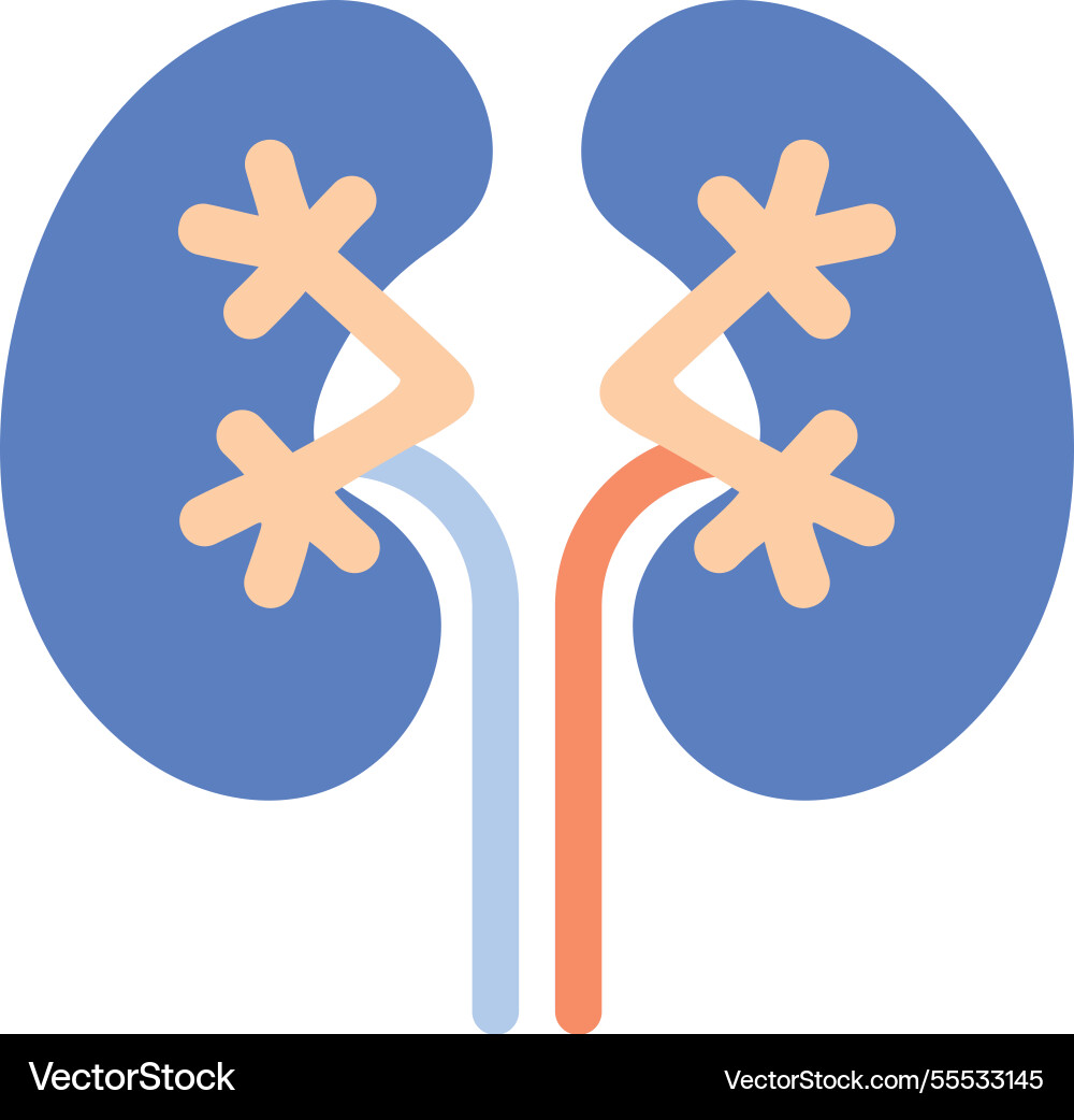 Kidney disease filtration icon Royalty Free Vector Image