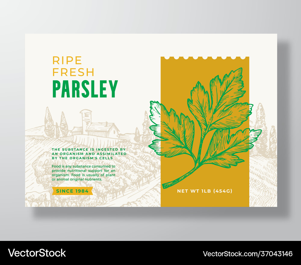 Fresh parsley food label template abstract Vector Image