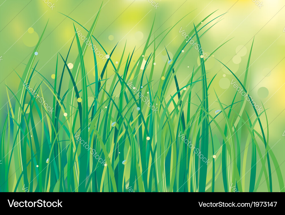 Grass Royalty Free Vector Image - VectorStock