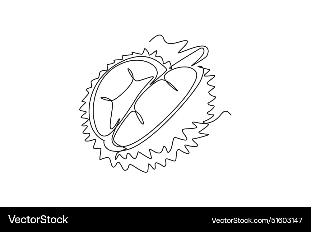 Single continuous line drawing of half sliced Vector Image