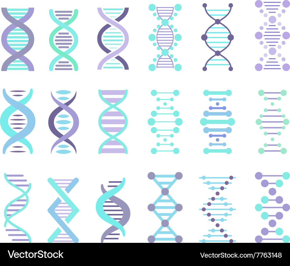 DNA Strand Collection Royalty Free Vector Image