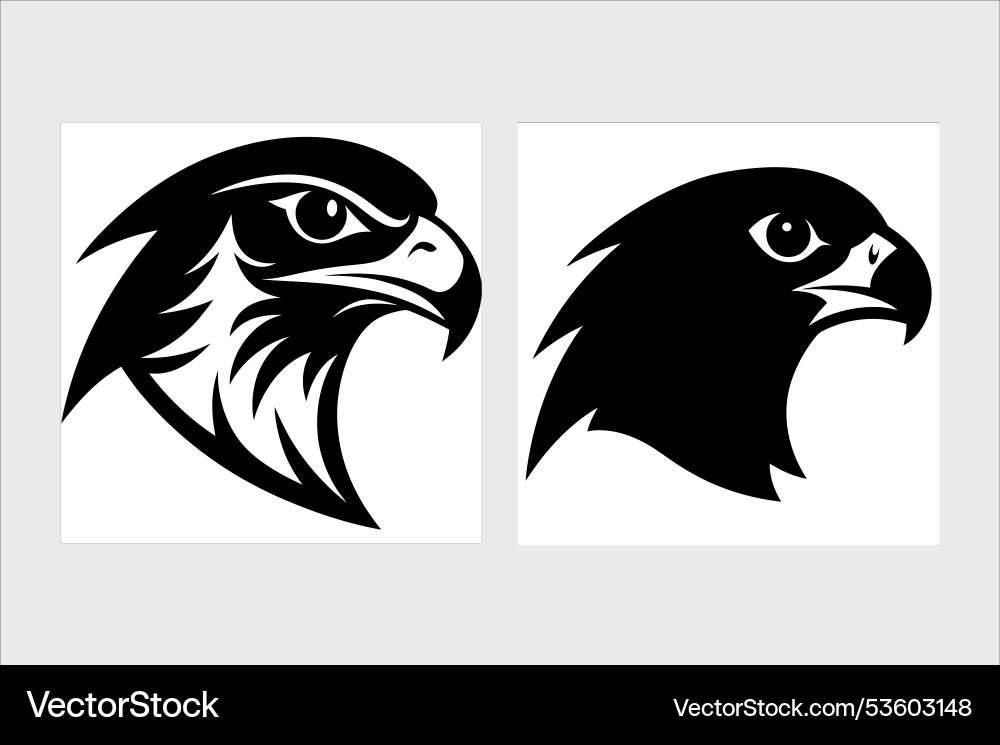 Falcon Royalty Free Vector Image - VectorStock