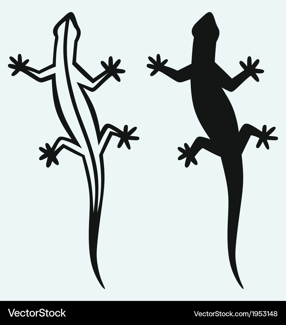Silhouette lizard Royalty Free Vector Image - VectorStock