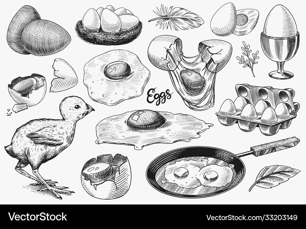 Poached Egg Drawing Vector Images (over 100)