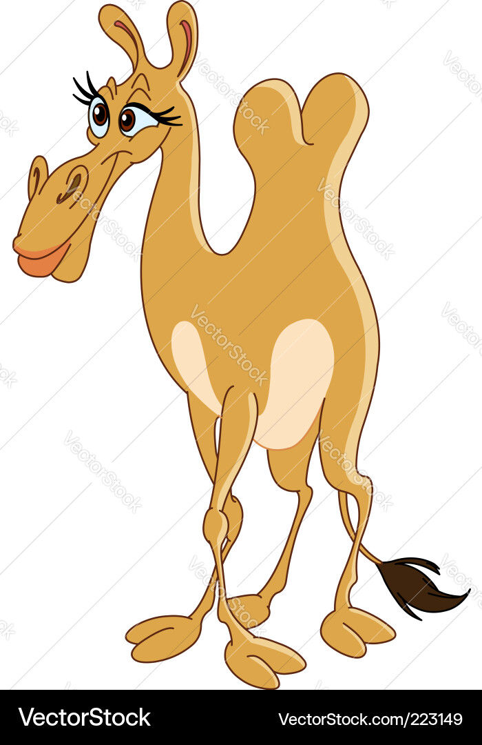 Female camel Royalty Free Vector Image - VectorStock