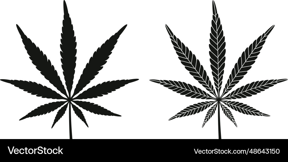 Cannabis Royalty Free Vector Image - VectorStock
