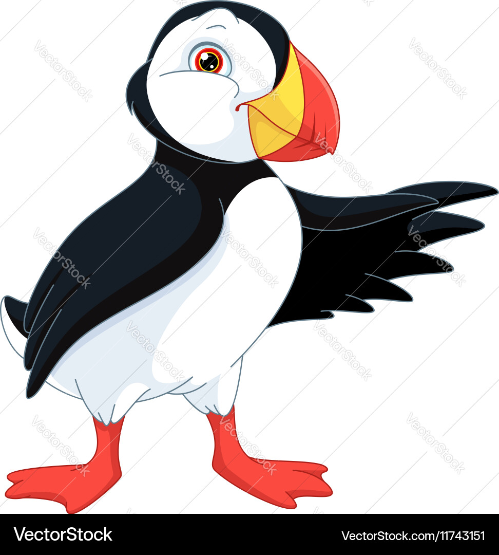 Cartoon puffin animal Vector Images & Graphics for Commercial Use ...