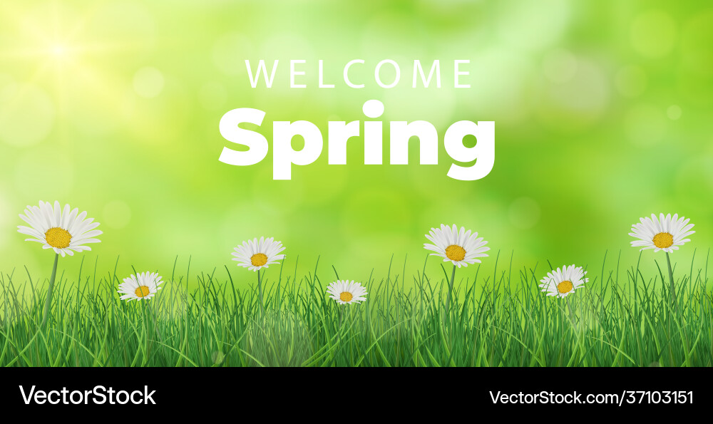 Welcome spring bright sunny background poster Vector Image