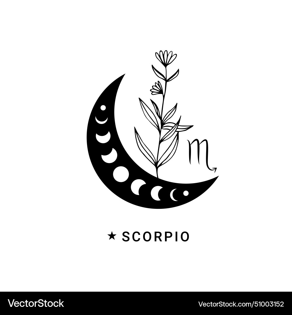 Scorpio zodiac sign with moon phase and flower Vector Image