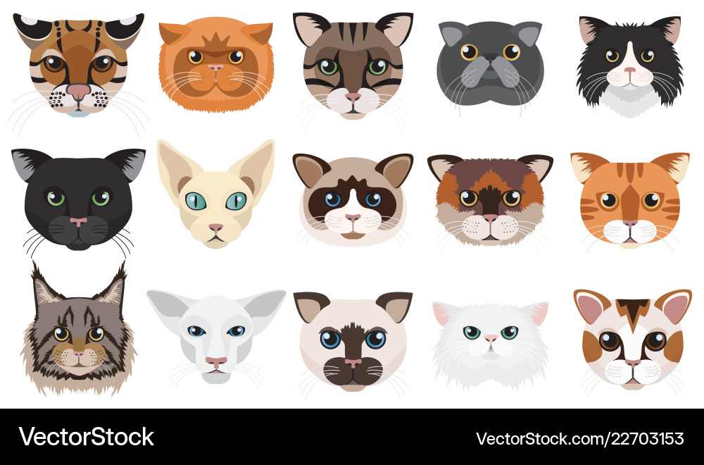 Cat Faces & Emoticons Collection – Royalty-Free Vector | VectorStock