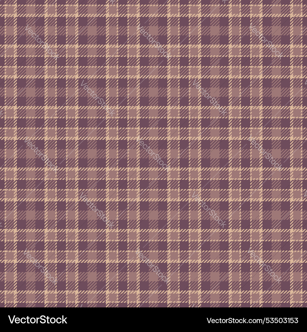 Feminine texture fabric seamless buffalo plaid Vector Image