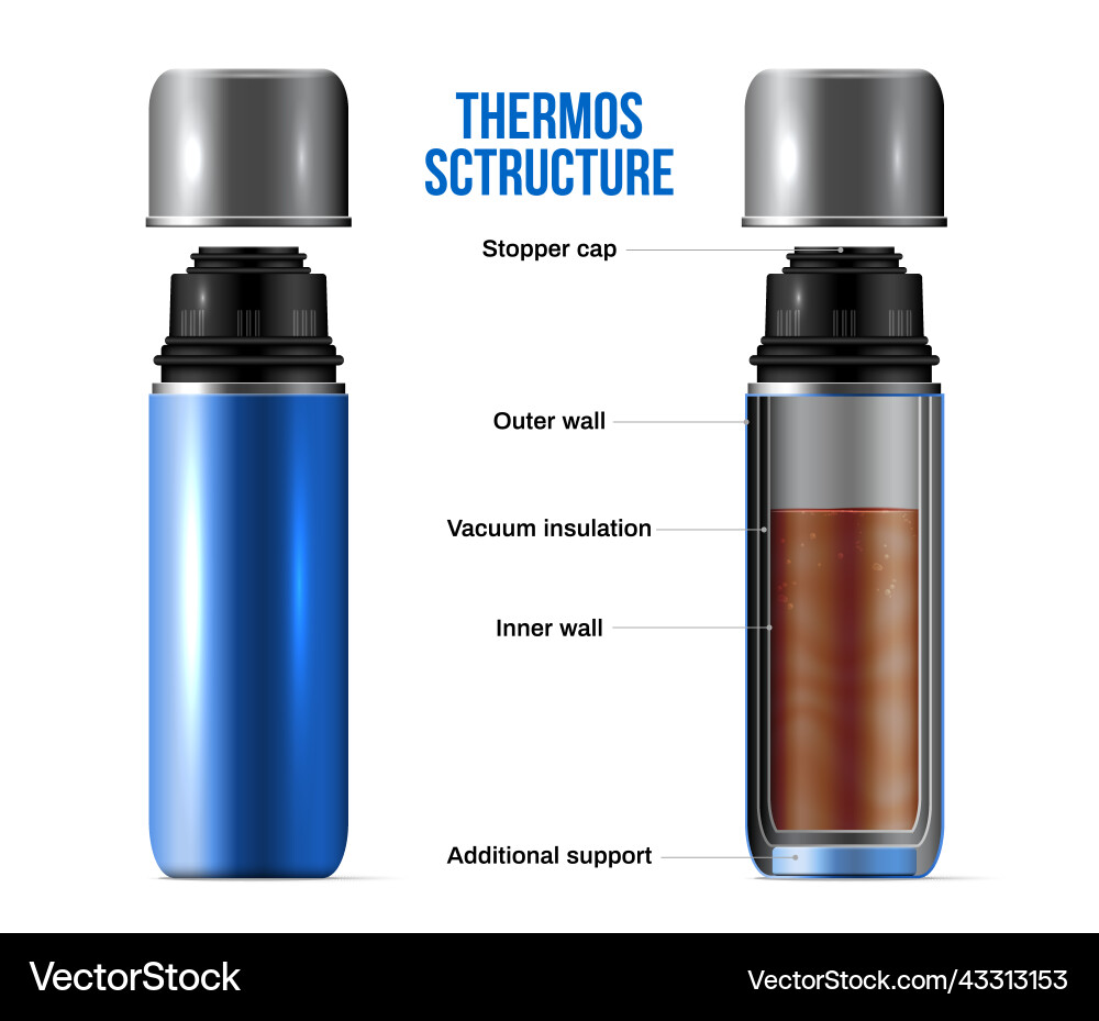 Realistic thermos structure infographic Royalty Free Vector