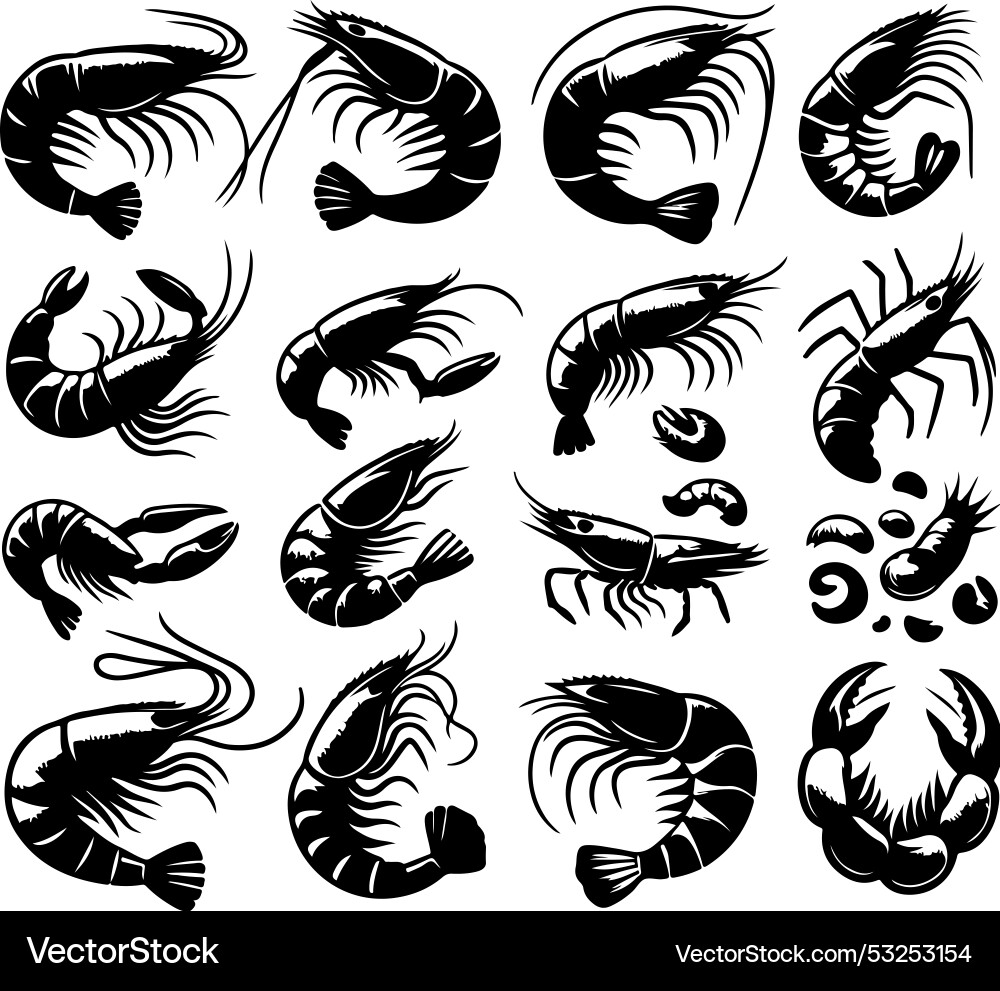 Shrimp silhouette - cut out icon Royalty Free Vector Image