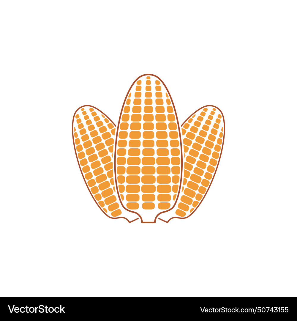 Corn Royalty Free Vector Image - VectorStock