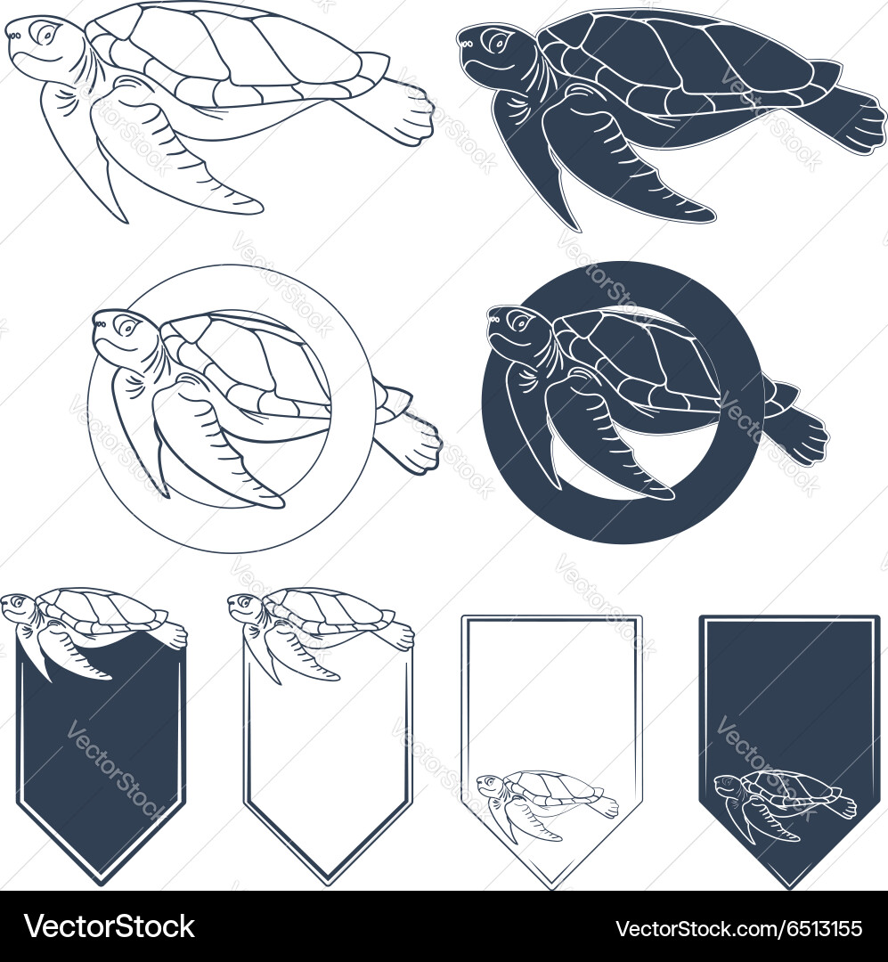 Sea turtle Royalty Free Vector Image - VectorStock